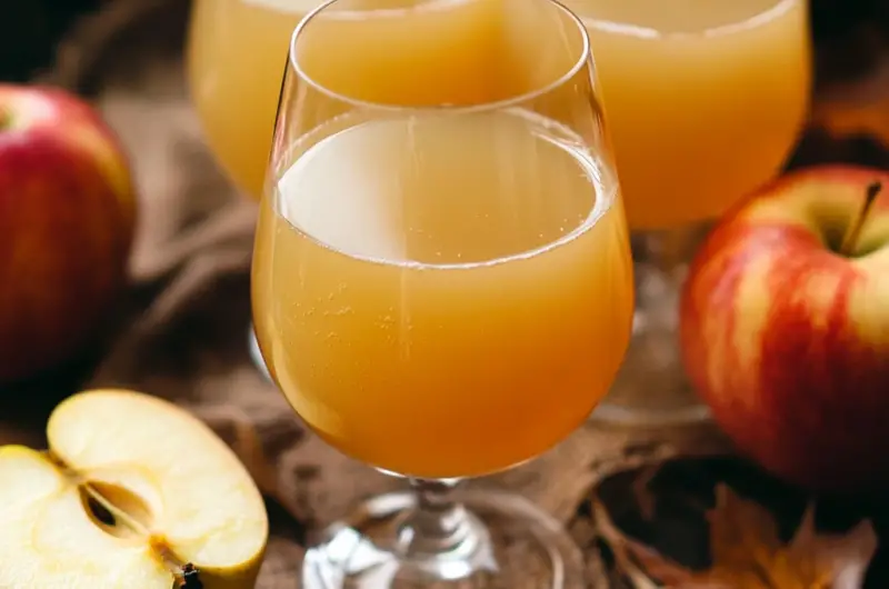 Russian Apple Kvass Recipe - Easy homemade recipes